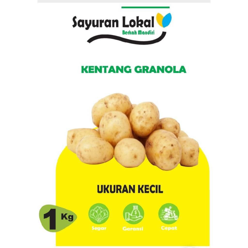 Jual Kentang Segar Ukuran Kecil 1kg | Shopee Indonesia