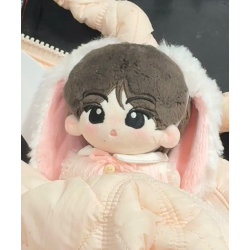 Jual DOLL JUNGWON ENHYPEN RABBIT WON | Shopee Indonesia