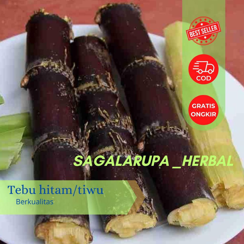 Jual TEBU HITAM/TEBU IRENG ASLI MANIS DI JUAL PER BATANG 20 CM | Shopee ...