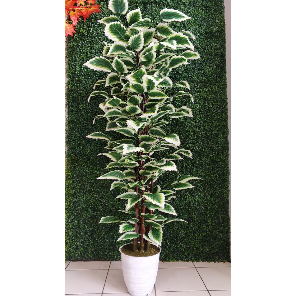 Jual Pohon Artificial 2 Meter cisiang / Shinfu hijau super rimbun atau ...