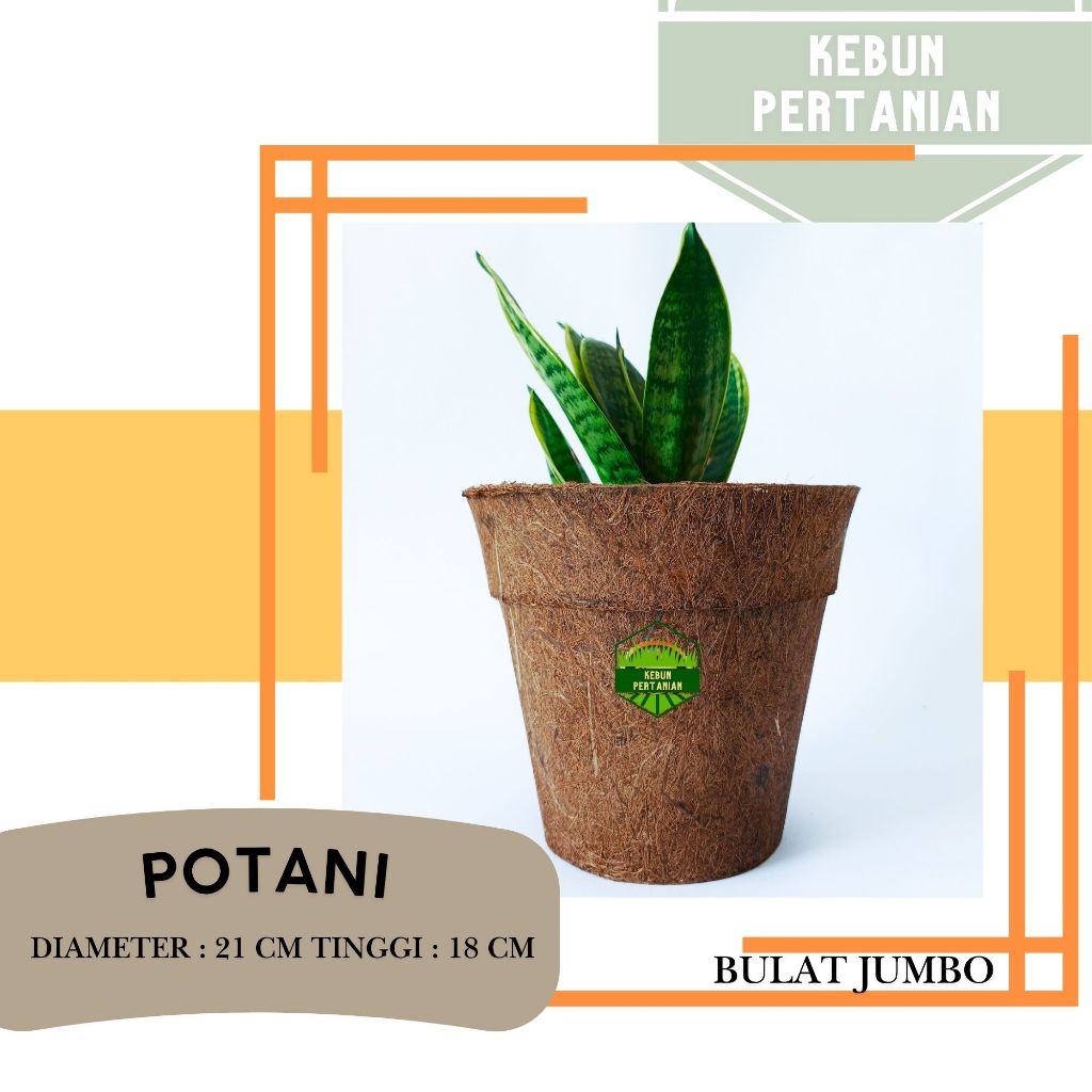 Jual Pot Bunga Serabut Kelapa / Pot Tanaman Bulat Jumbo POTANI ...