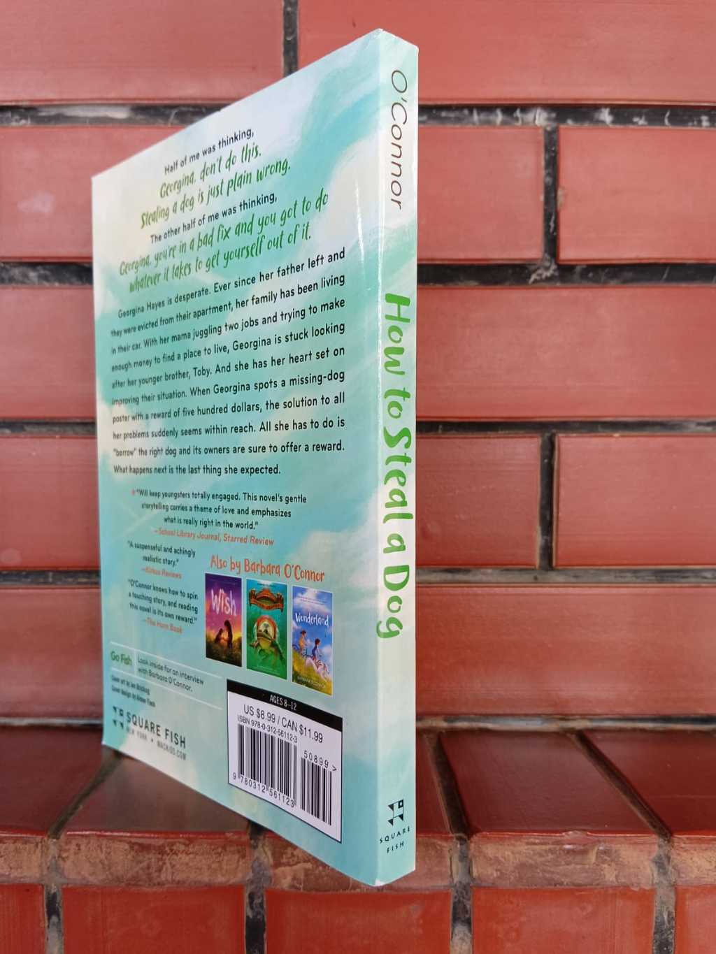 Jual How To Steal A Dog Barbara O'Connor Novel Young Adult Bahasa ...