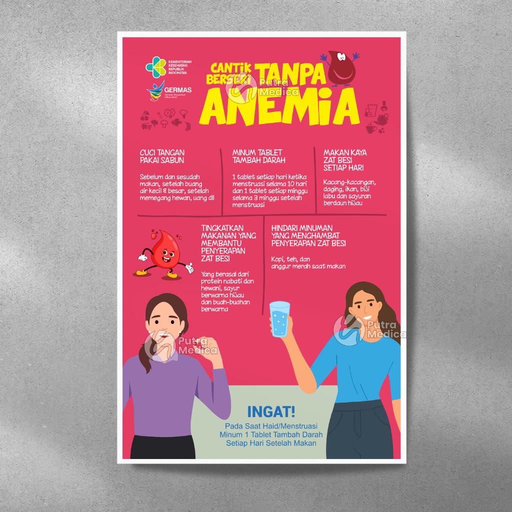 Jual Poster Kesehatan Cantik Bebas Anemia A3+ / Edukasi Gadis Remaja ...
