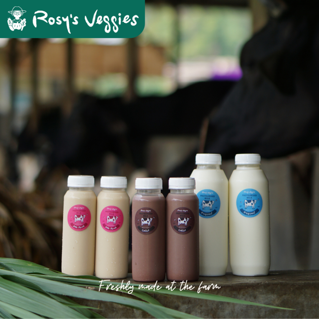 Jual Susu Sapi Murni Pasteurisasi | Fresh Milk | Grass Fed Cow & No ...