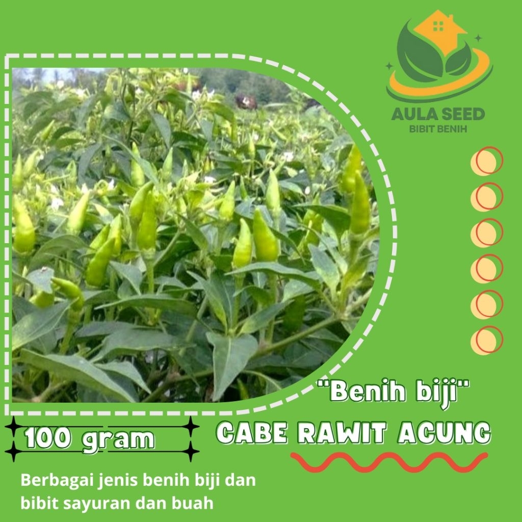 Jual benih cabe rawit hijau acung /caplak 100 gram benih biji | Shopee ...