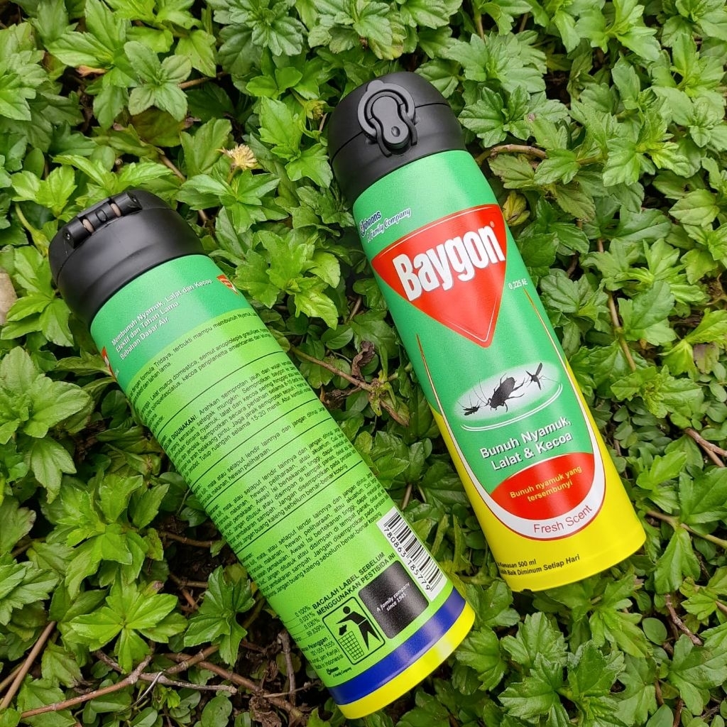 Jual TERMOS PREMIUM TUMBLER GAMBAR BAYGON 500 ML CUSTOM BISA REQUEST ...