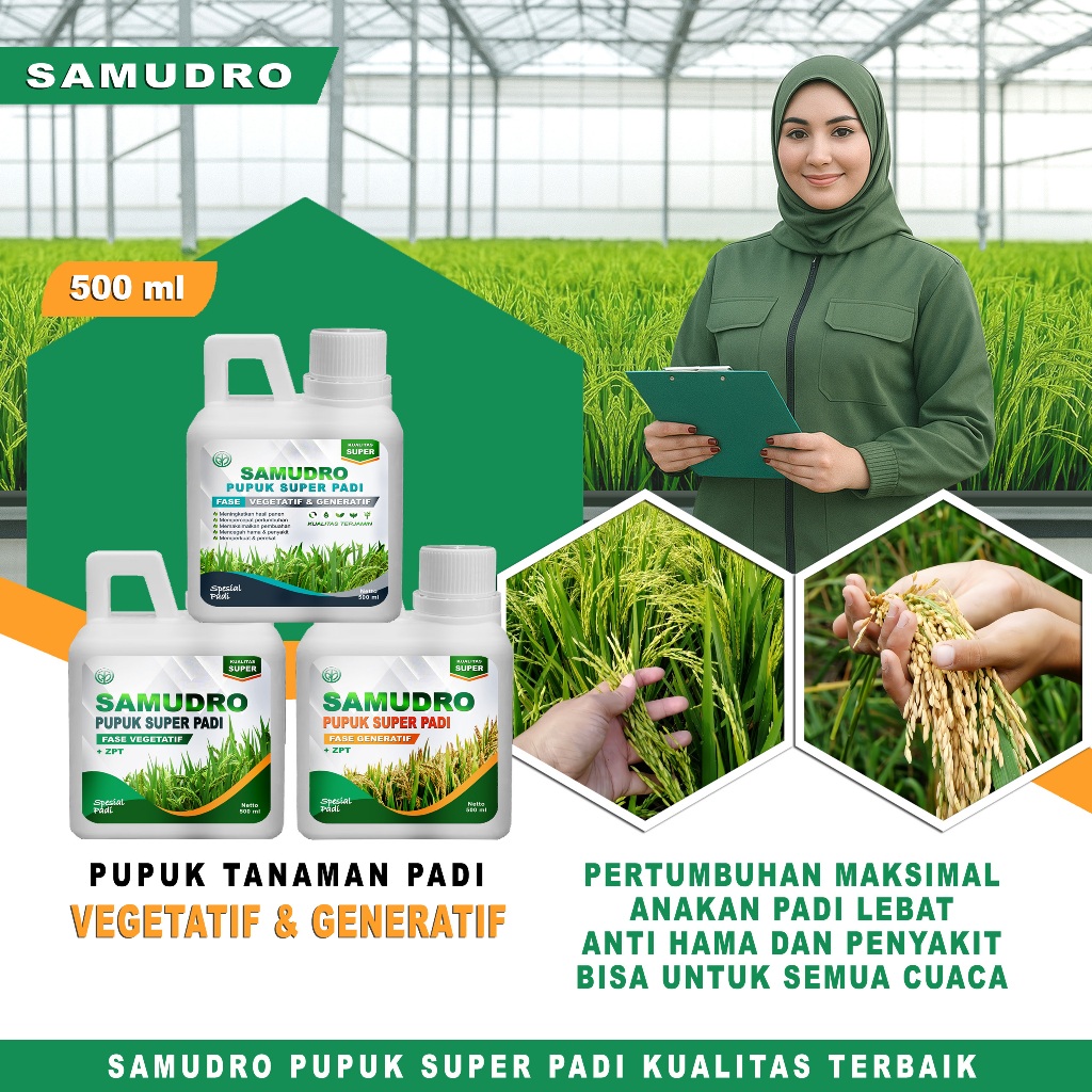 Jual Samudro Pupuk Padi Pelebat Anakan Padi Dan Mempercepat Pertumbuhan ...