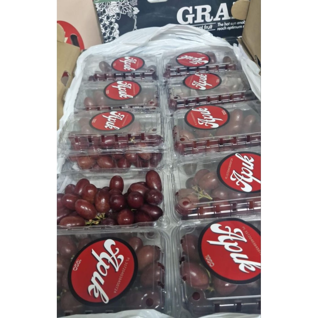 Jual Anggur Muscat Terlengkap & Harga Terbaru Mei 2026 | Shopee Indonesia