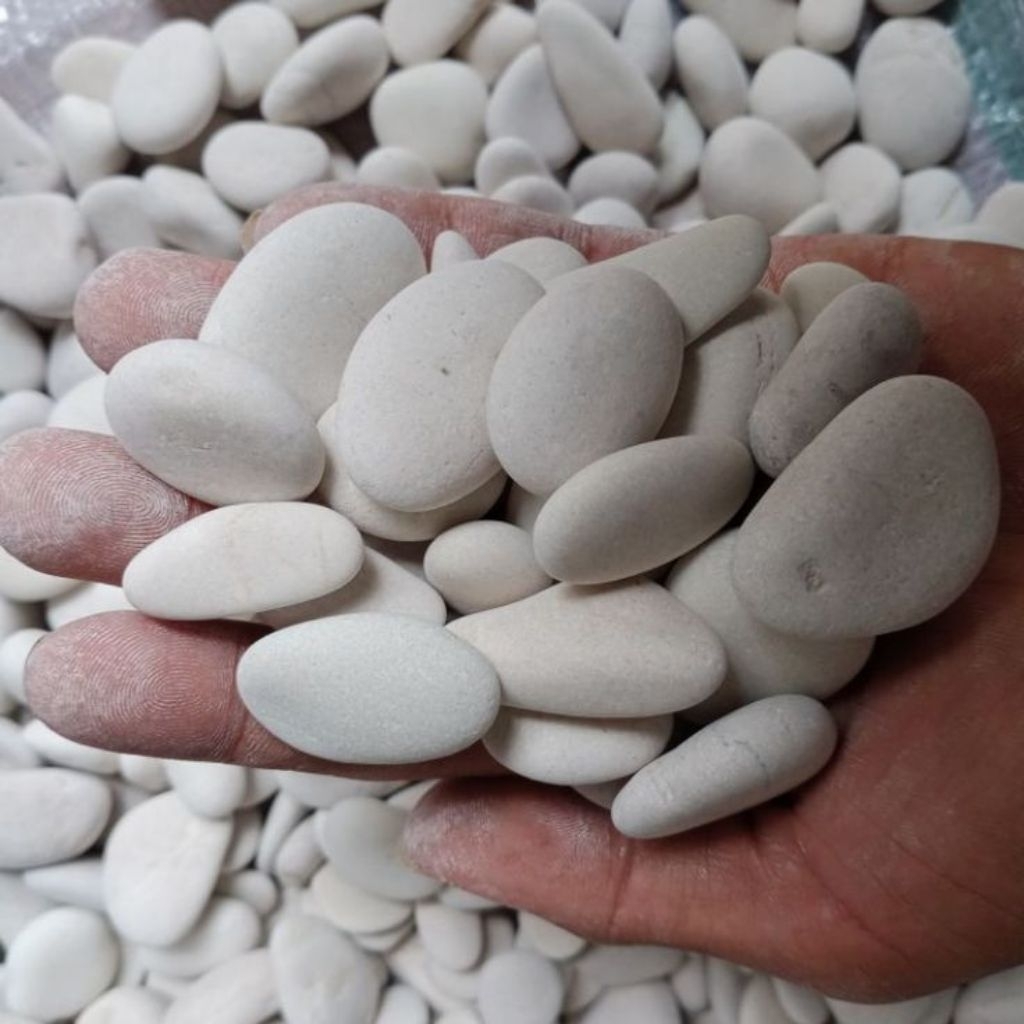 Jual Batu koral/ batu alam putih 1 kg | Shopee Indonesia