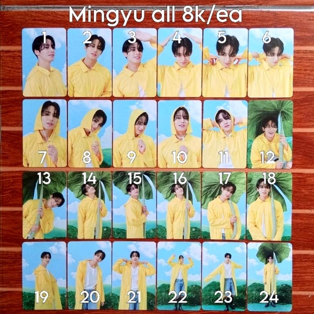 Jual SEVENTEEN PHOTOCARD HEAVEN CARVER BOOKLET WOOZI VERNON MINGYU WONWOO SCOUPS [ SVT PC ...