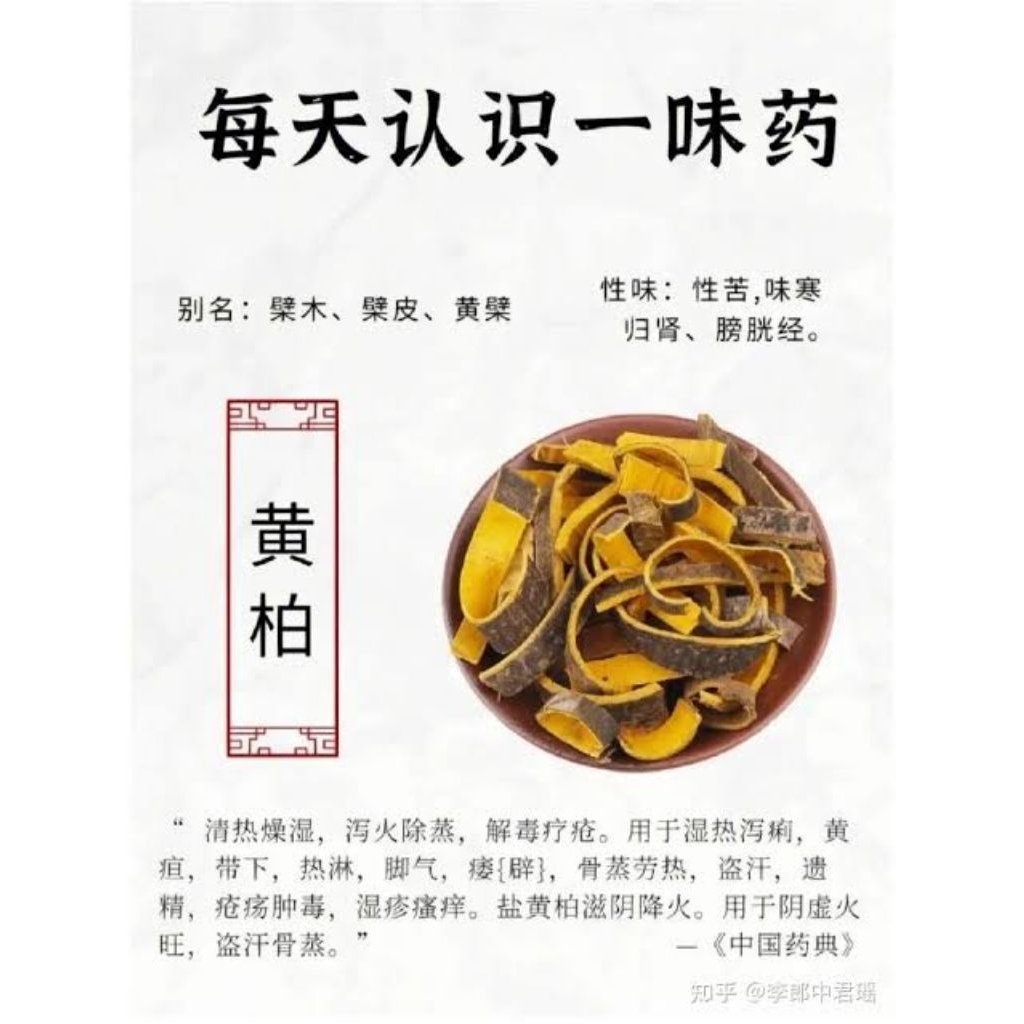 Jual 100gr huang bai premium huang bo amur cork tree bark | Shopee ...