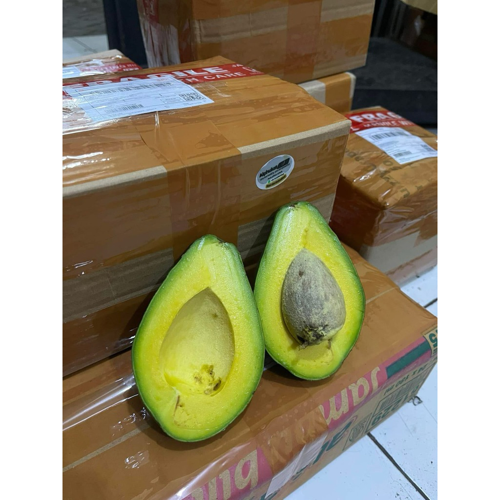 Jual Alpukat Mentega 1kg | Shopee Indonesia