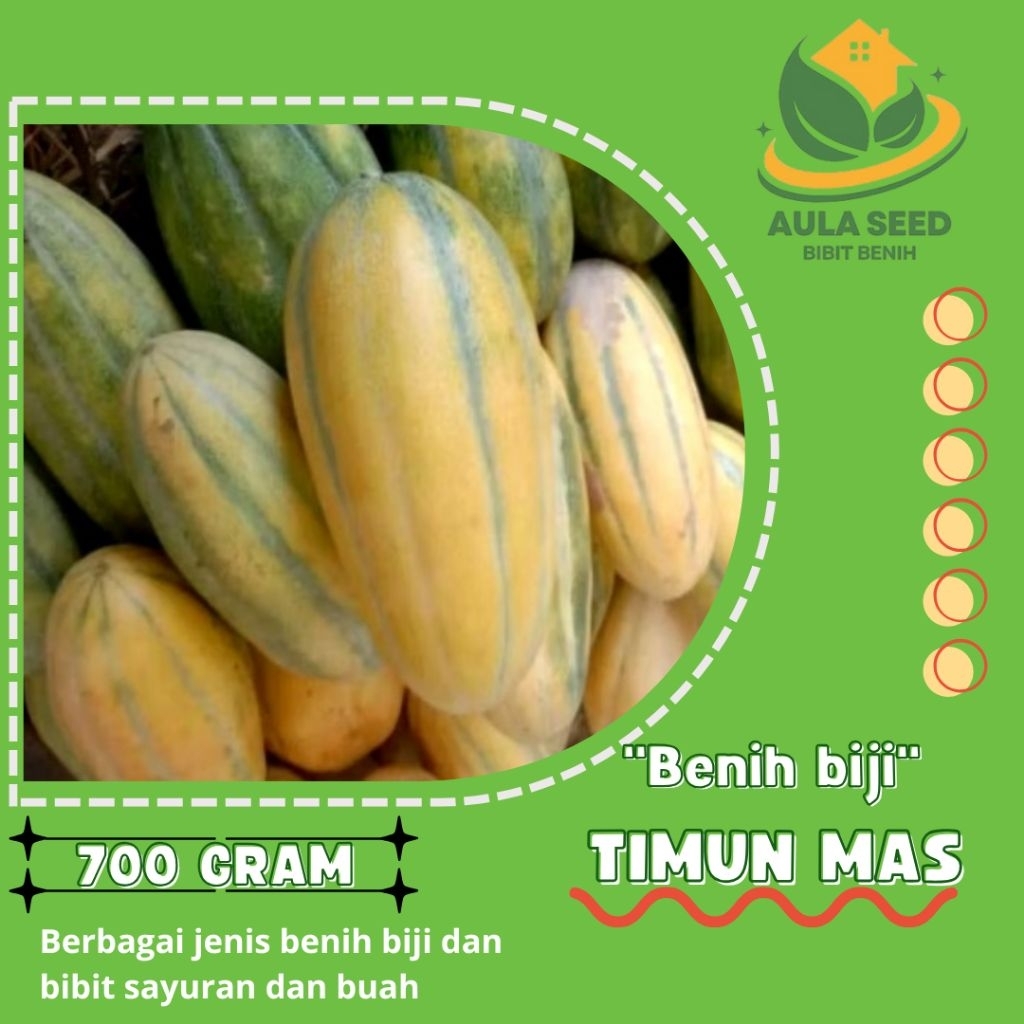 Jual benih biji timun mas 500 gram benih biji | Shopee Indonesia