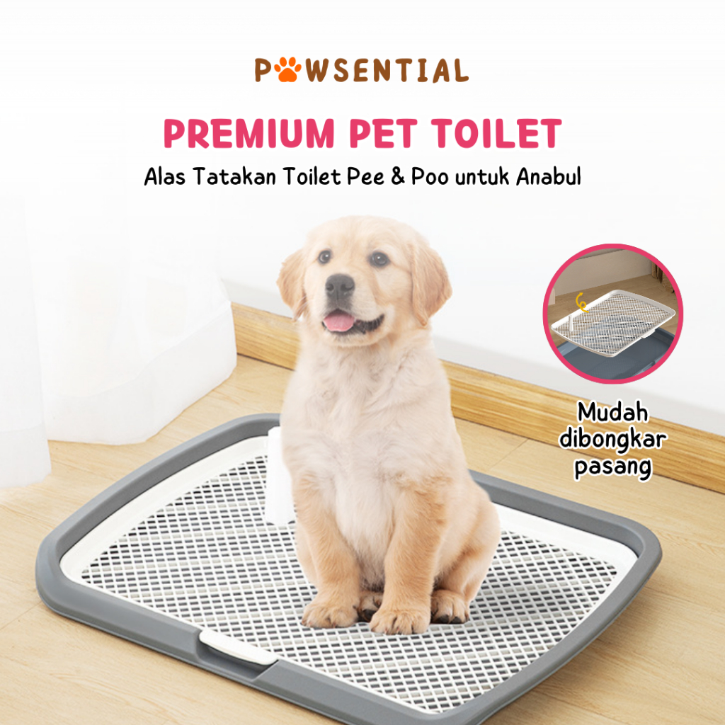 Jual Pawsential Pet Toilet Anjing Jumbo Premium Tatakan Pipis Anjing ...