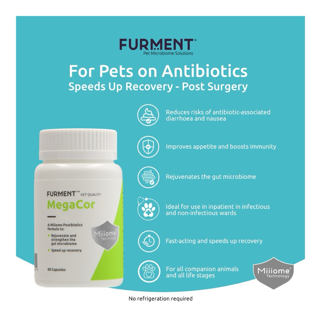 Jual Furment MEGACOR Postbiotics Speed Recovery / Immunity / Gut Health ...