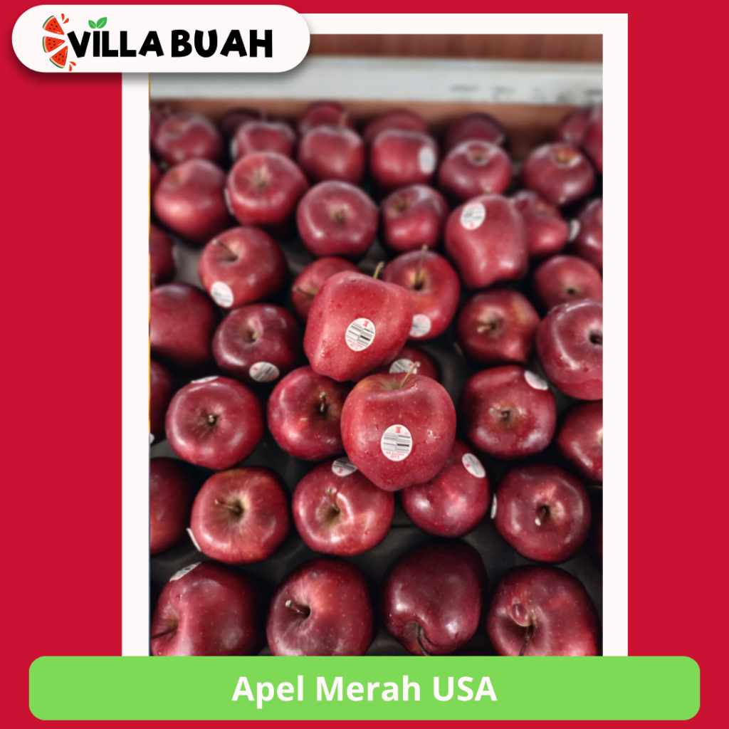 Jual Apel Merah USA (1 pc) | Shopee Indonesia