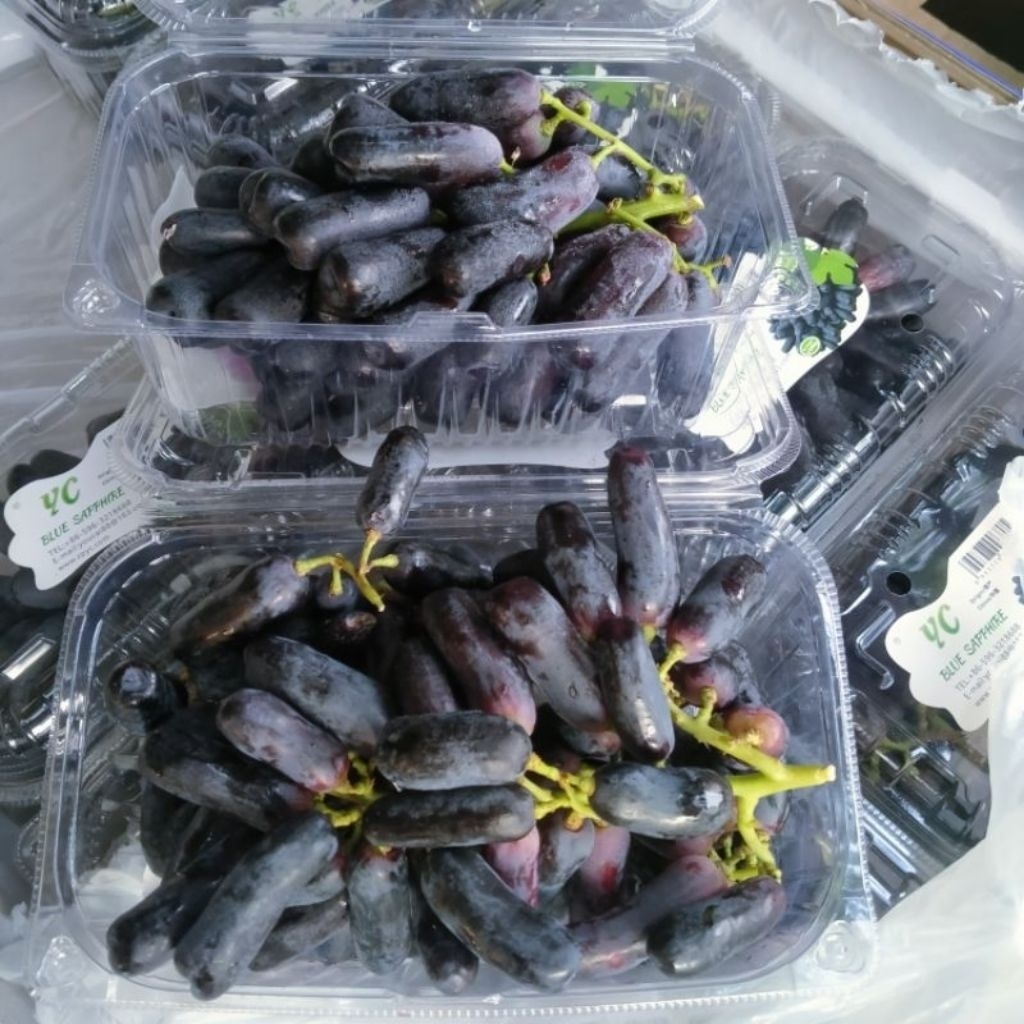 Jual ANGGUR SAPHIRE SEADLESS/ANGGUR JARI/ANGGUR MOONDROP PACK | Shopee ...