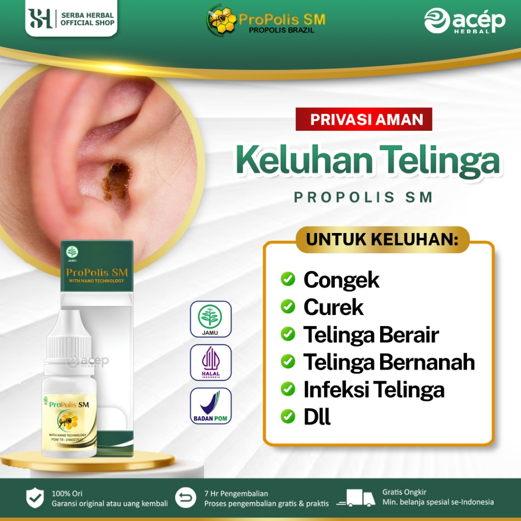 Jual Obat Herbal Alami Congek, Infeksi Telinga, Telinga Berair ...