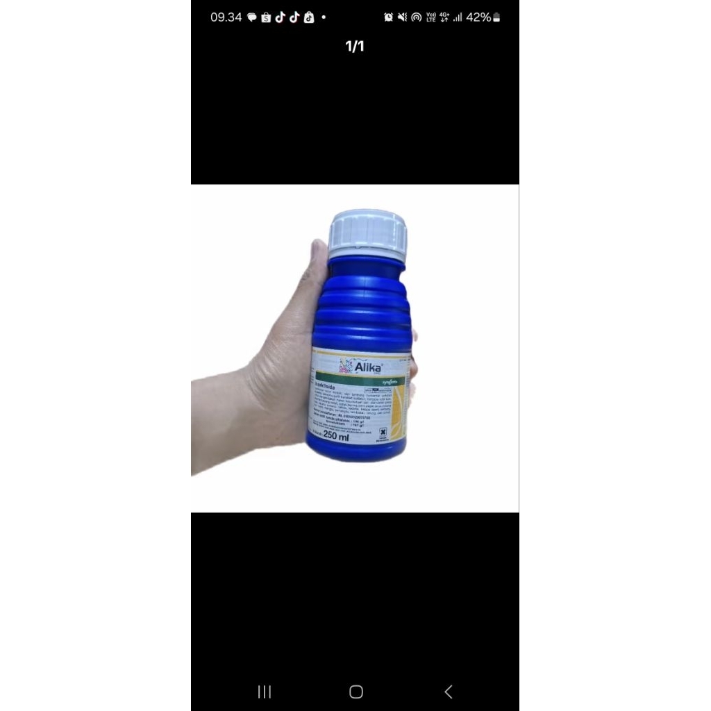 Jual Alika: Solusi Ampuh Atasi Hama Tanah! Persiapan Pindah Tanam ...
