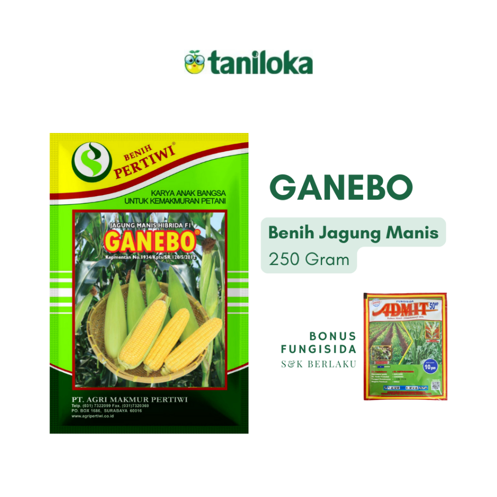 Jual Benih Pertiwi - Benih Jagung Manis Ganebo (250 Gram) | Shopee ...