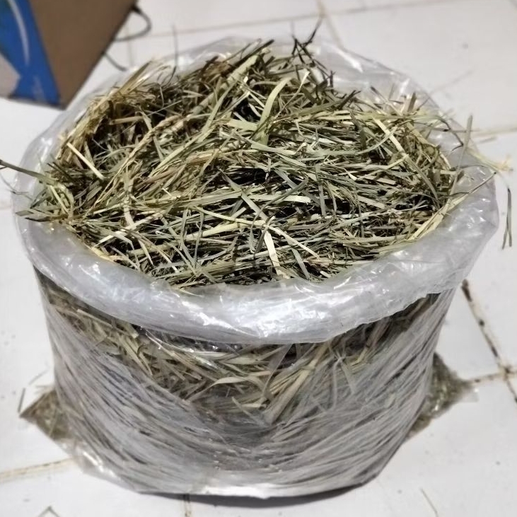 Jual rumput hay Timothy - rumput kering kelinci hay - rabbit food hay ...