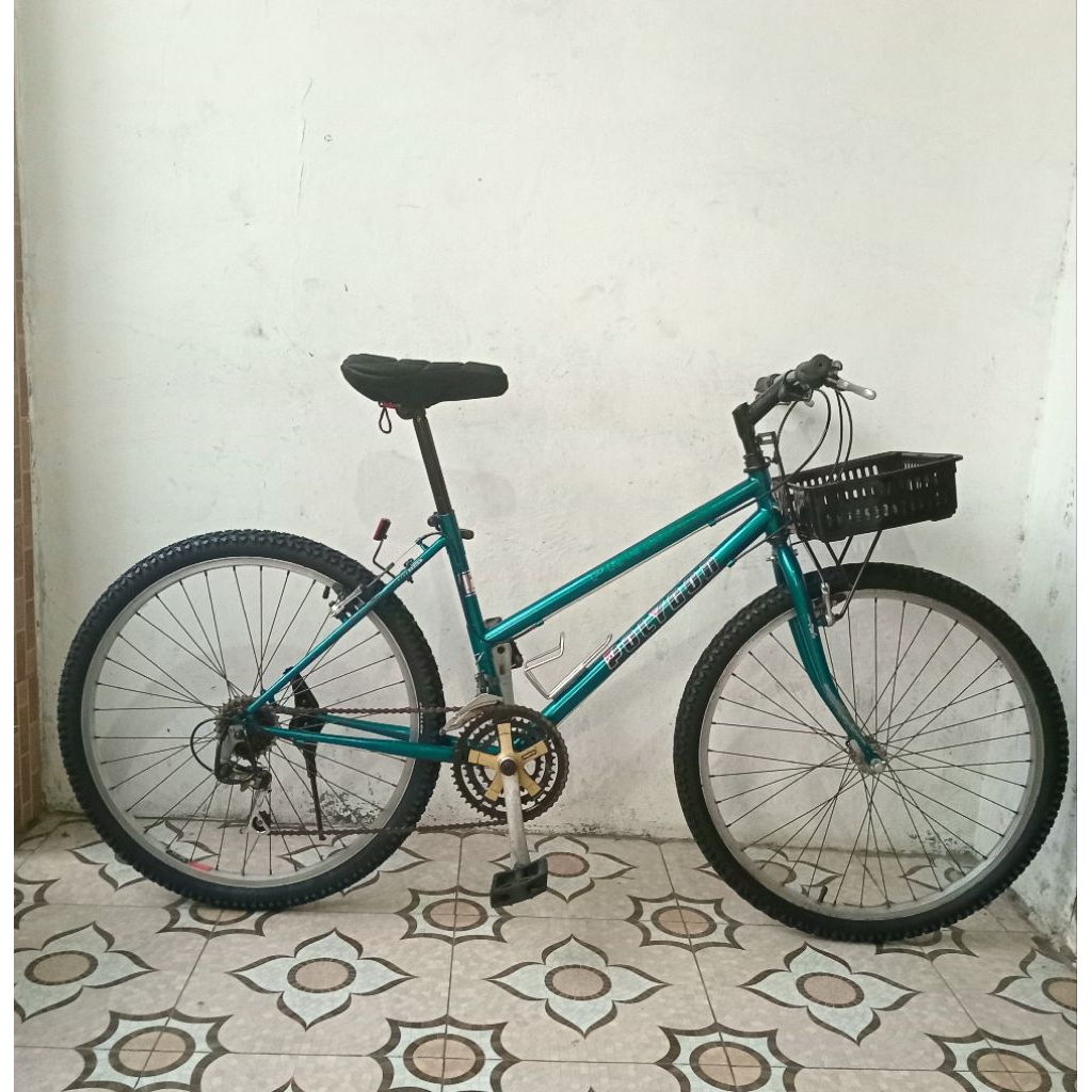 Jual SEPEDA COMMUTER BIKE POLYGON PREMIER INSERA LADY VINTAGE MTB BAN ...