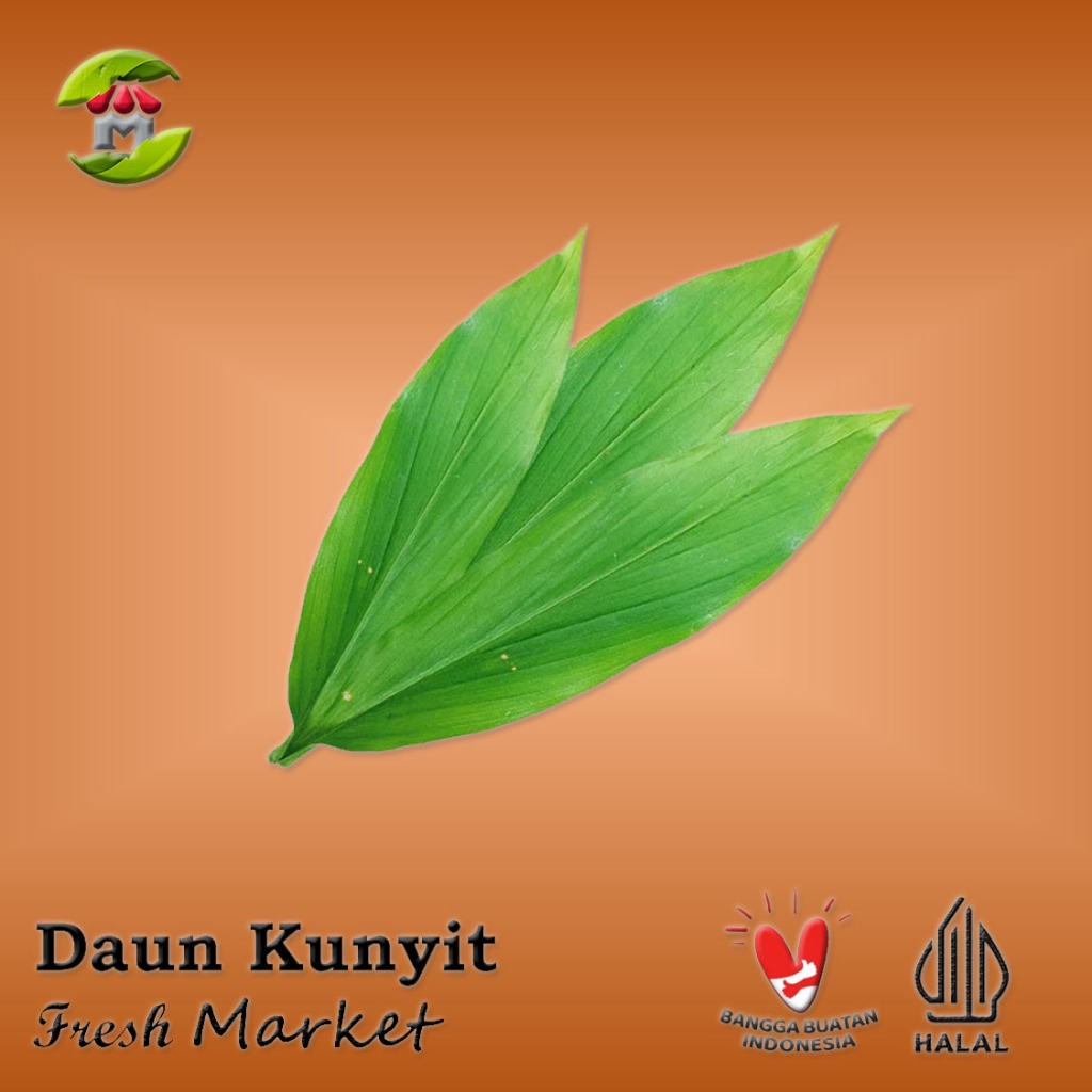 Jual [Bintaro] Daun Kunyit Per Pack 5 Lembar | Shopee Indonesia