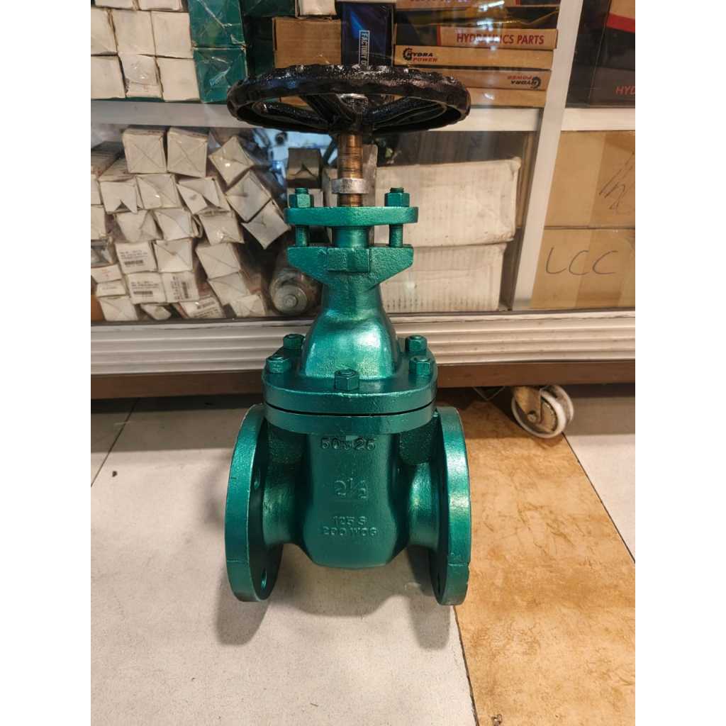Jual Gate Valve Toyo 3" Inch Jis 10K DN80 Cast Iron Original Japan Gate ...