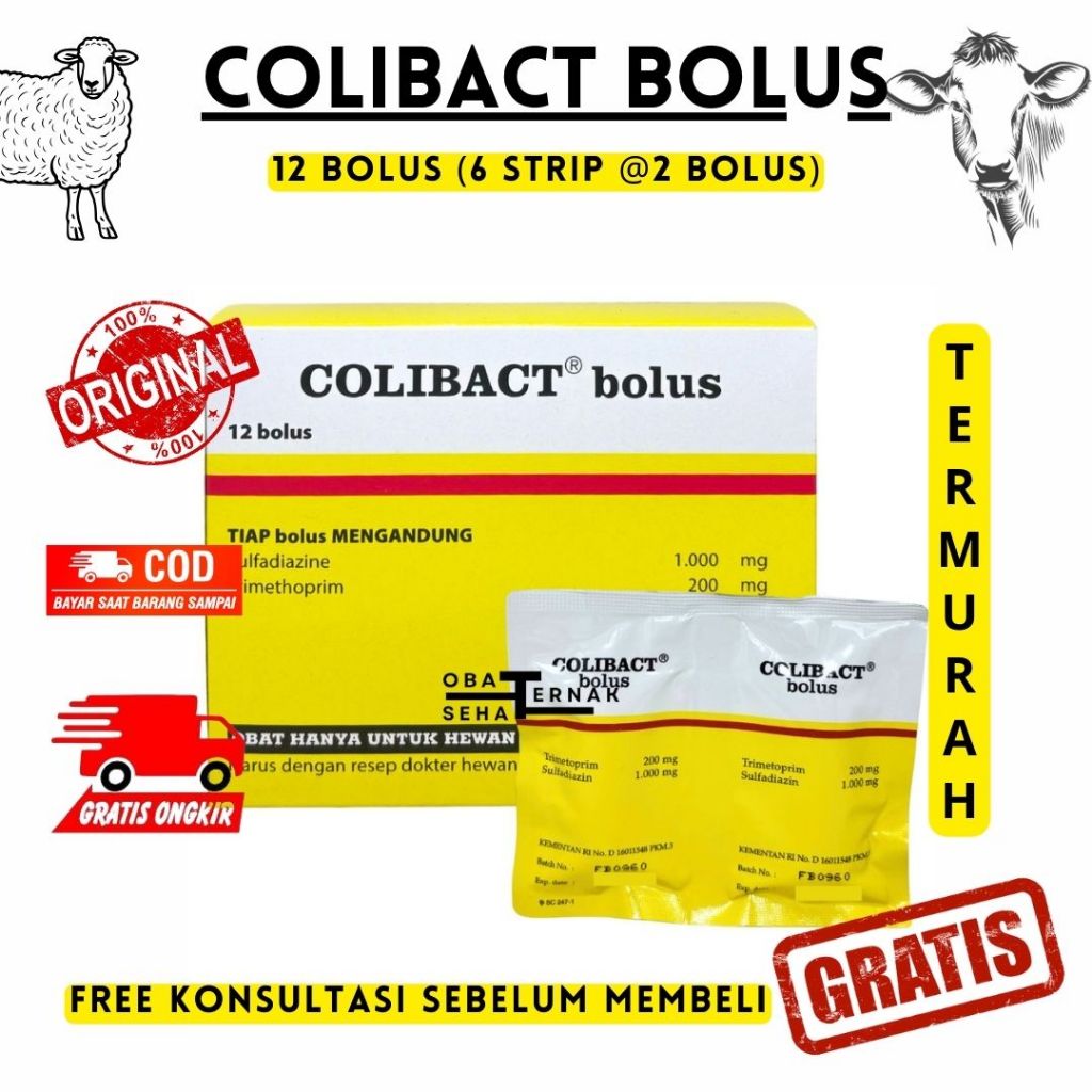 Jual Colibact 12 Bolus 1 Box (6 Strip @2 Bolus) Obat Sapi Kuda Domba ...