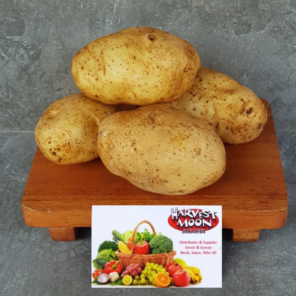 Jual HarvestMoon Kentang Dieng @1kg | Shopee Indonesia