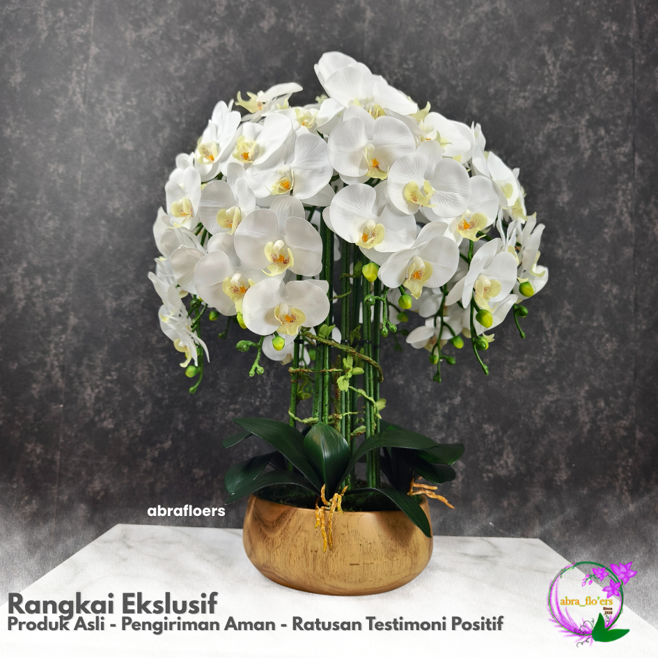 Jual Abra Floers - Anggrek Latex Putih - Pot Kayu Jati - Real Pict - 10 ...