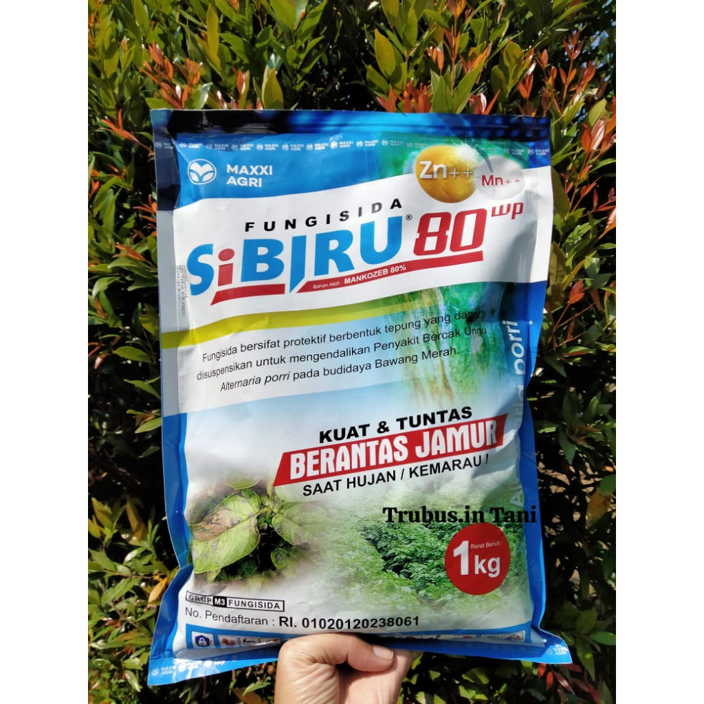 Jual FUNGISIDA SIBIRU 80 WP 1 KG MANKOZEB/MANCOZEB BIRU ATASI PENYAKIT ...