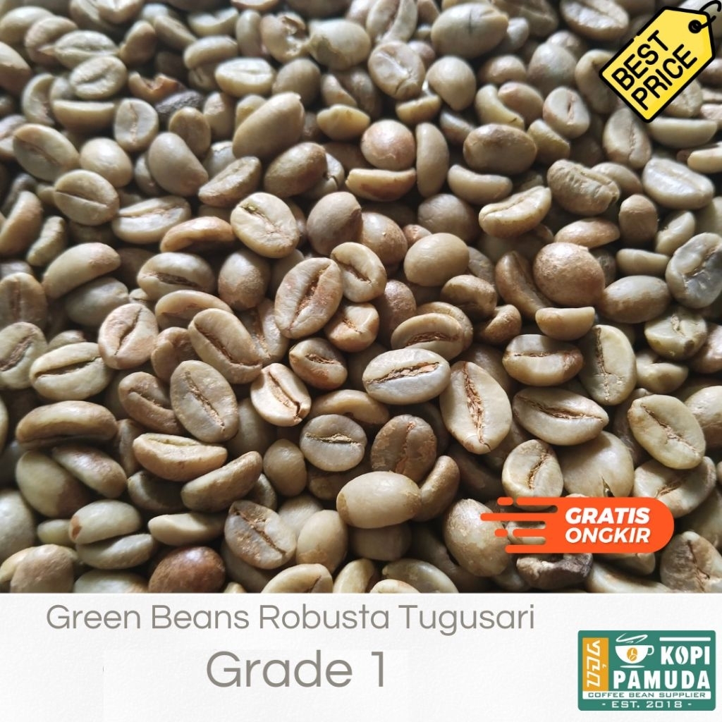 Jual 1Kg Green Beans Biji Kopi Robusta Grade 1 Tugusari Biji Besar ...