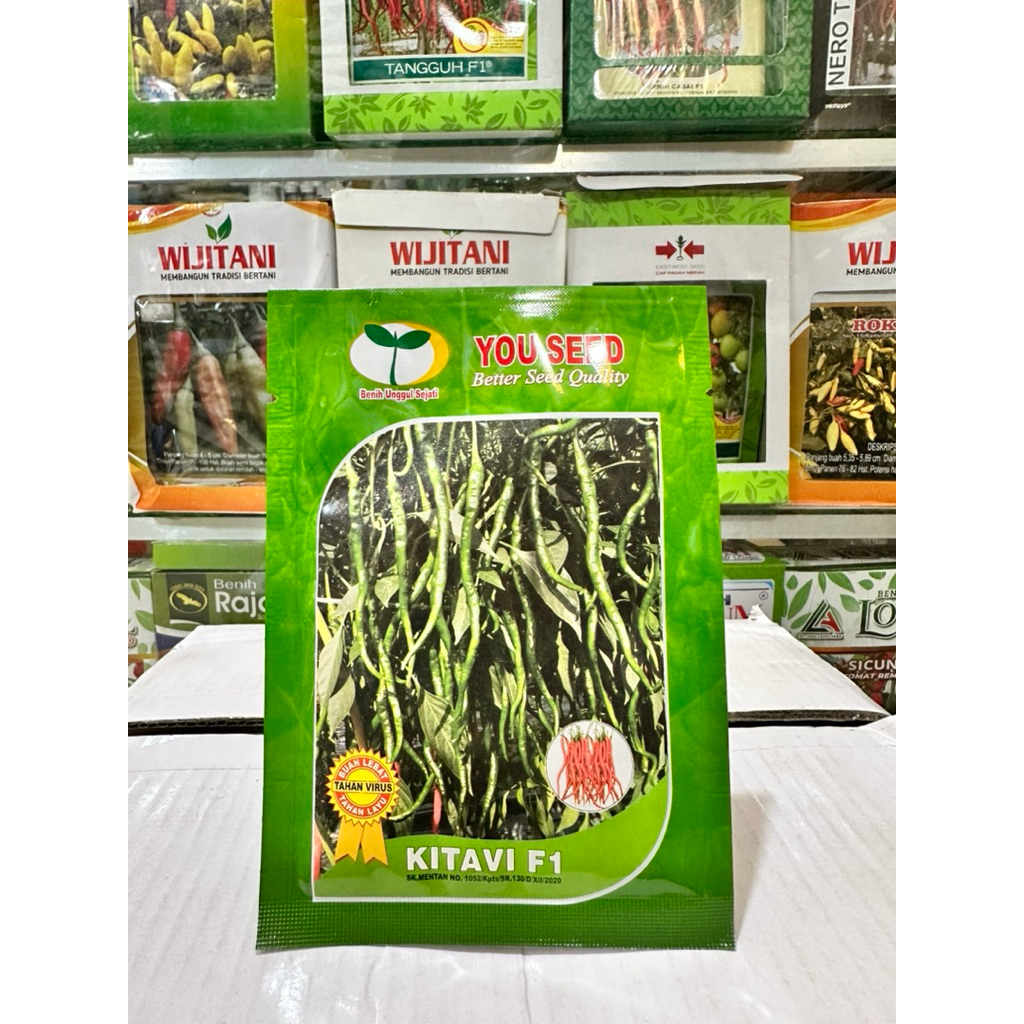 Jual BENIH CABAI KERITING KITAVI F1 isi 10 gram dari YOU SEED | Shopee ...