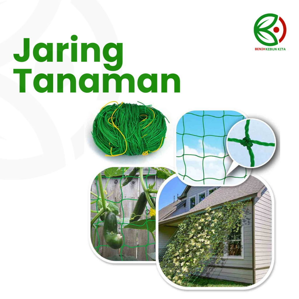Jual Jaring Rambatan Tanaman Jaring Rambat Plant Climbing Net | Shopee Indonesia