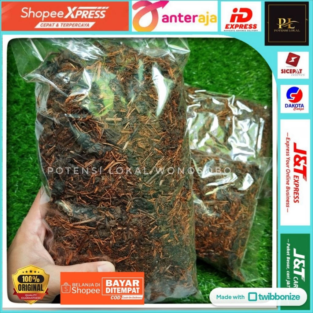 Jual TEH CORBANG WANGI | 1KG | repack polos | TEH MASTER | Teh Tambi ...