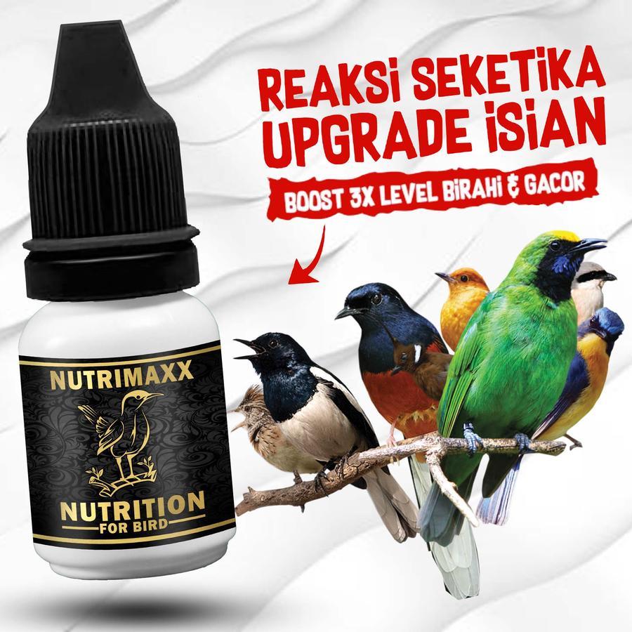 Jual Nutrimaxx Nutrition untuk Mewah Bird NUTRIMAXX Vitamin burung ...