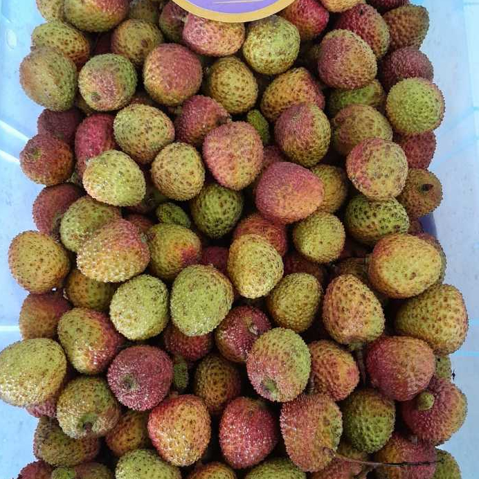 Jual Lychee China (Pack) | Shopee Indonesia
