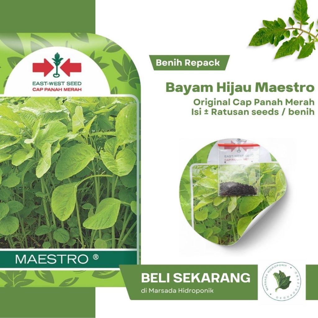 Jual Benih Bibit Bayam Hijau atau Bayam Maestro Cap Panah Merah Kemasan ...