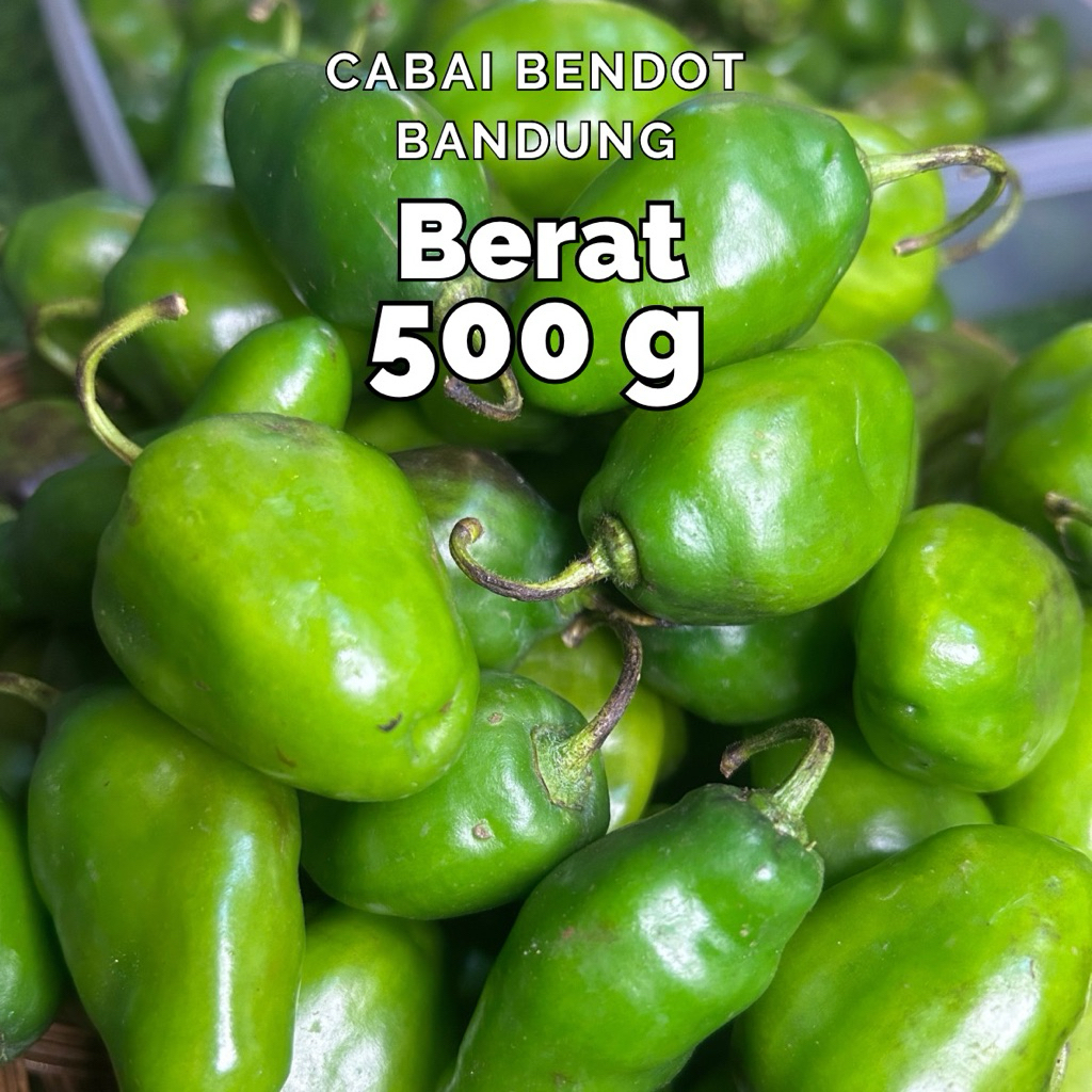 Jual Cabai Gendot/Bendot hijau Pedas Bandung | Shopee Indonesia