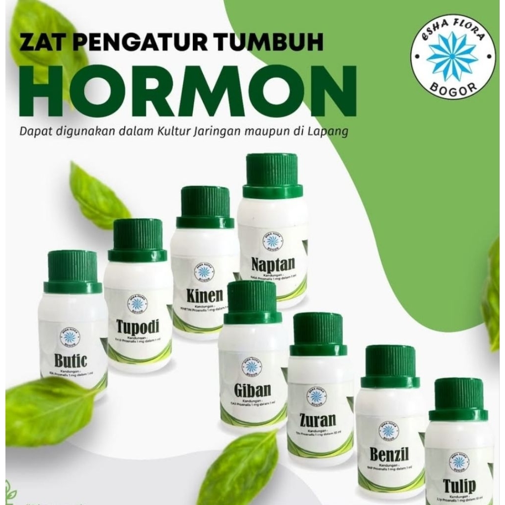 Jual Hormon Proanalis Kultur Jaringan IBA BAP TDZ 2ip GA3 24D NAA ...