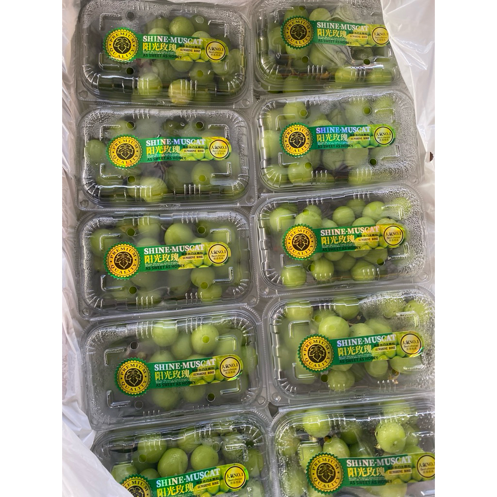Jual Anggur Hijau muscat kemasan pack 500gr atau curah | Shopee Indonesia