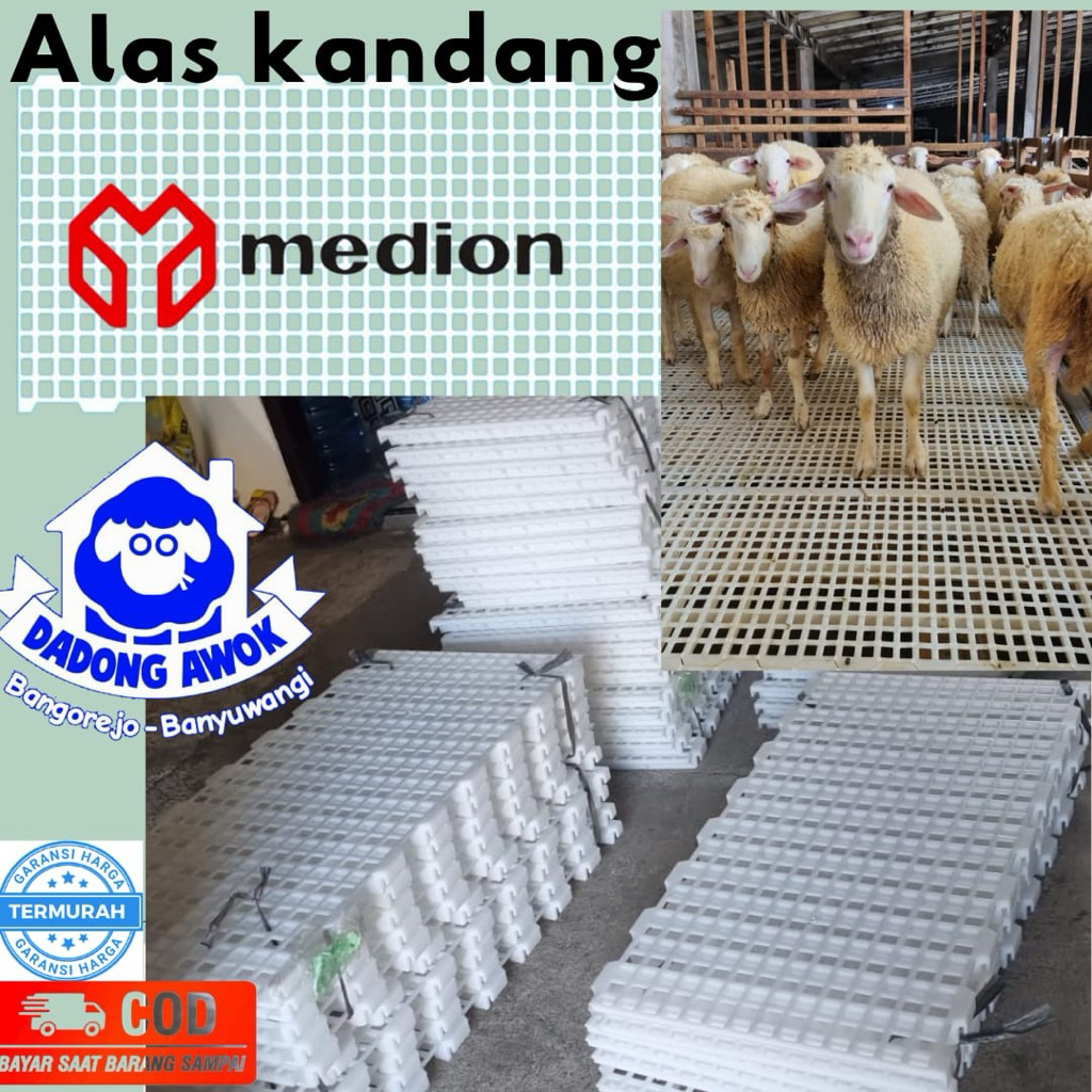 Jual lantai alas kandang plastik - slat lantai kambing - alas lantai ayam - lantai kandang ...