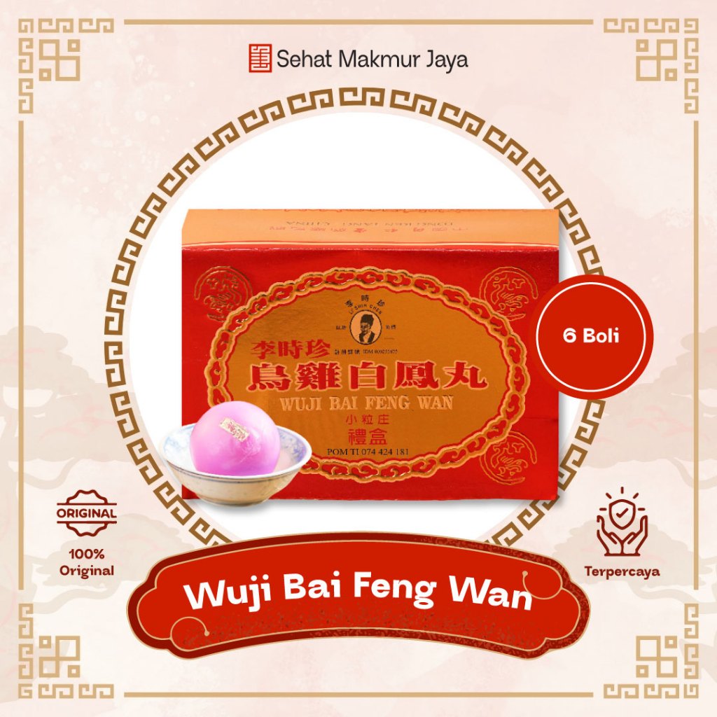 Jual Wuji Bai Feng Wan Isi 6 boli - Obat Kesehatan Wanita | Shopee Indonesia