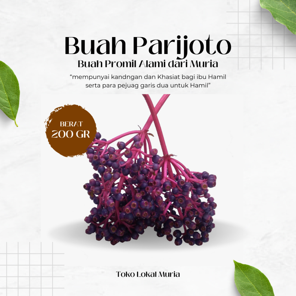 Jual Buah Parijoto Herbal Kesuburan 200gr – Aman untuk Promil, Camilan ...