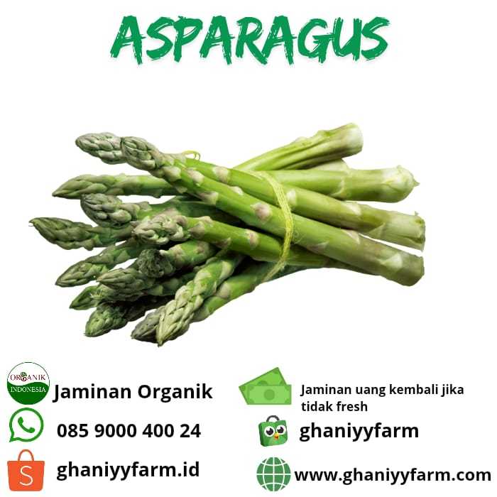 Jual Sayur Organik Asparagus Organik 500 Gram | Shopee Indonesia