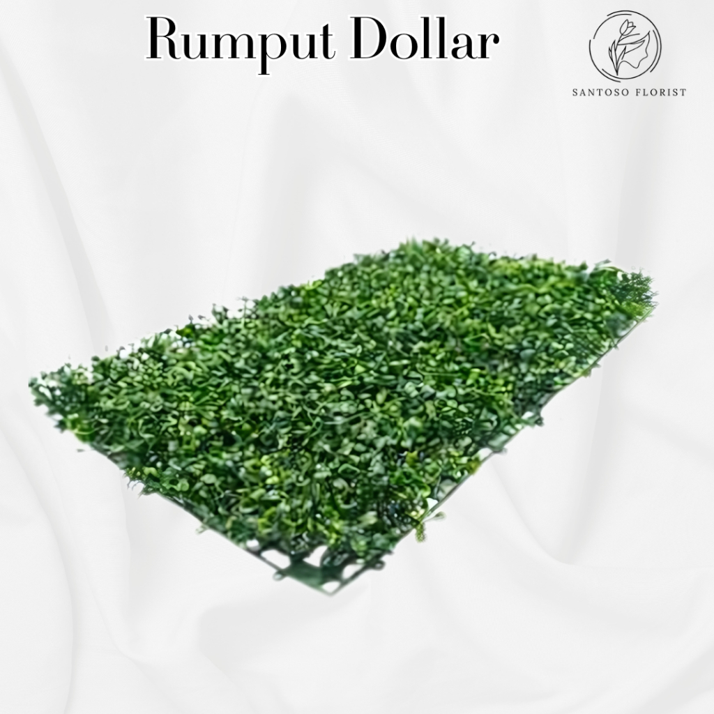 Jual Rumput Dolar Sintetis 60cmx40cm Rumput Buatan Plastik Rumput ...