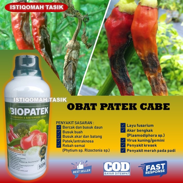 Jual Obat Patek Cabe Paling Ampuh BIOPATEK 500ML Fungisida ...