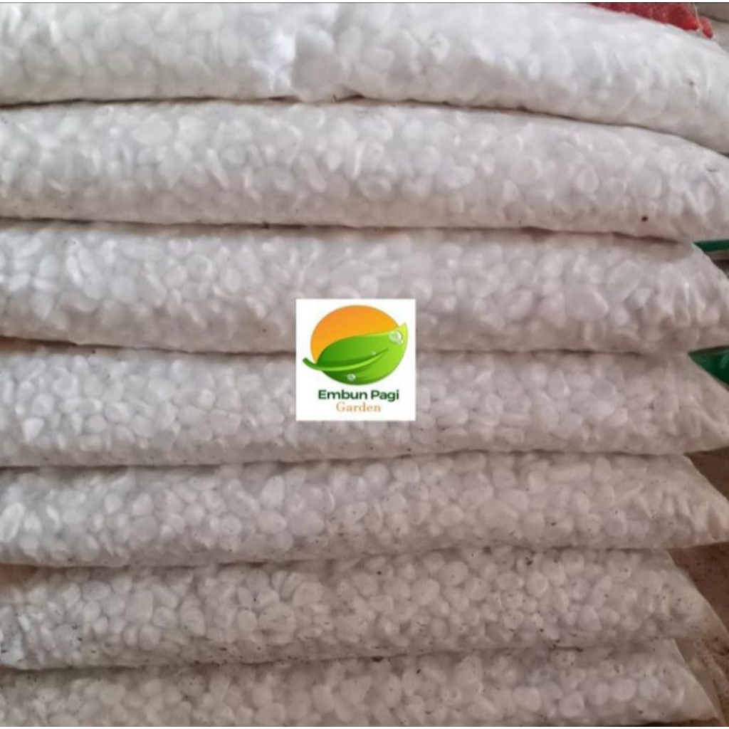 Jual Batu Koral Putih Italy Import 8-10kg Hiasan Taman dan Aquarium ...