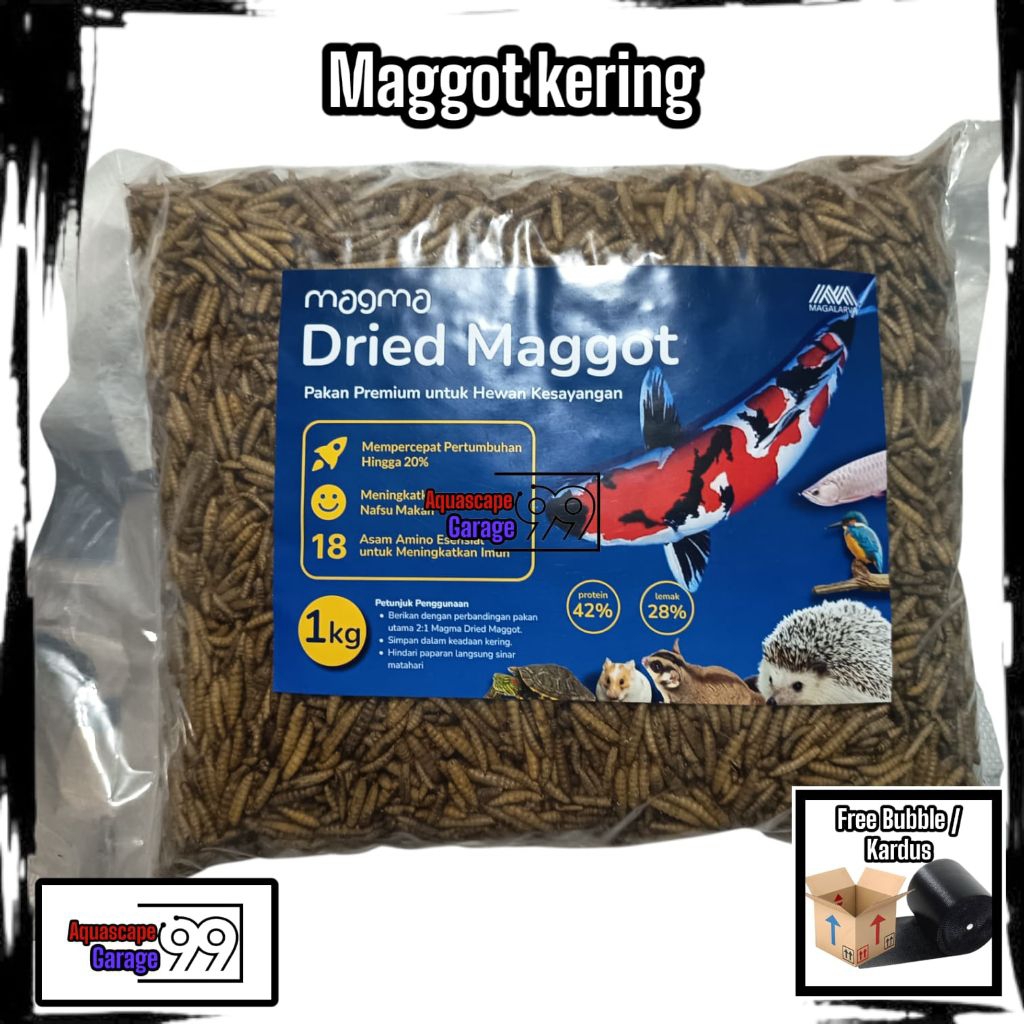Jual Maggot kering 1 kg/maggot 1 kg/maggot kering / maggot /pakan koi ...
